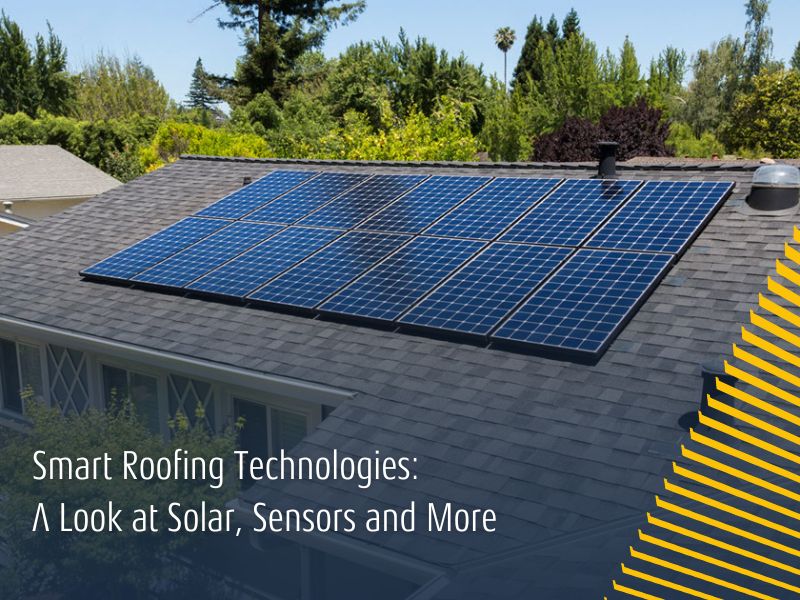 Flat Roof vs Pitched Roof: Which One Should You Choose?